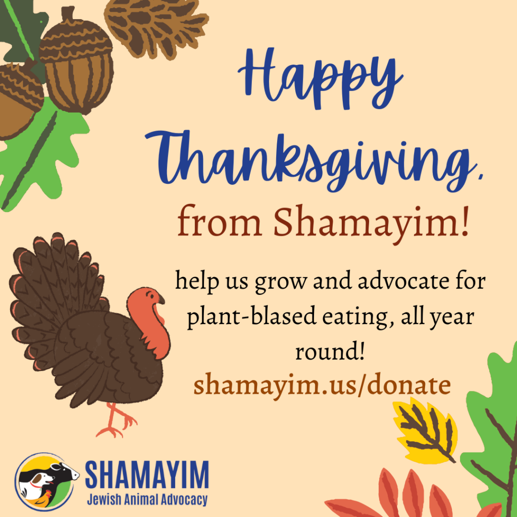 Vegan Thanksgiving Guide 2022! - Shamayim: Jewish Animal Advocacy
