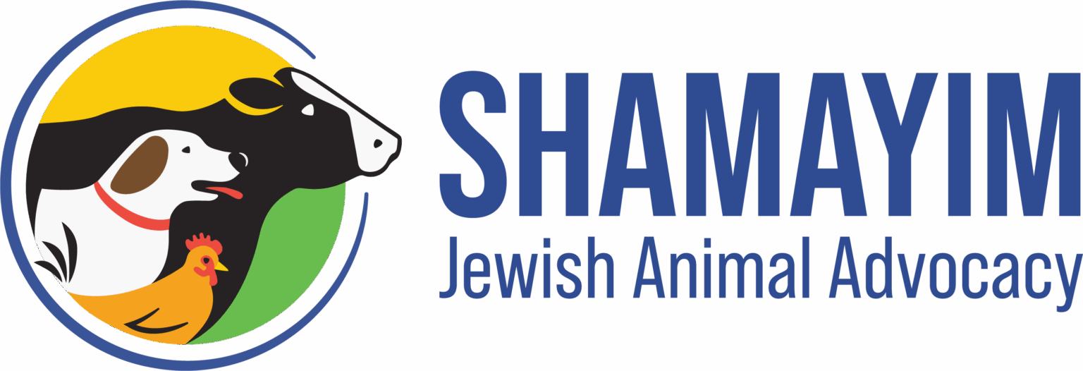 Man’s Best Friend: Navigating the Jewish Relationship with Dogs ...